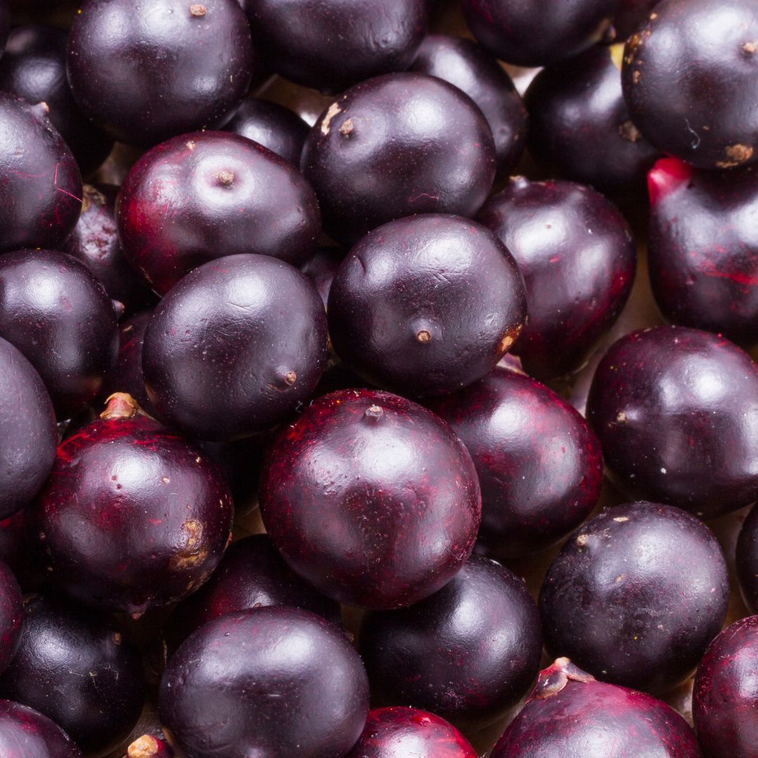 Acai Berry – Myshee Group
